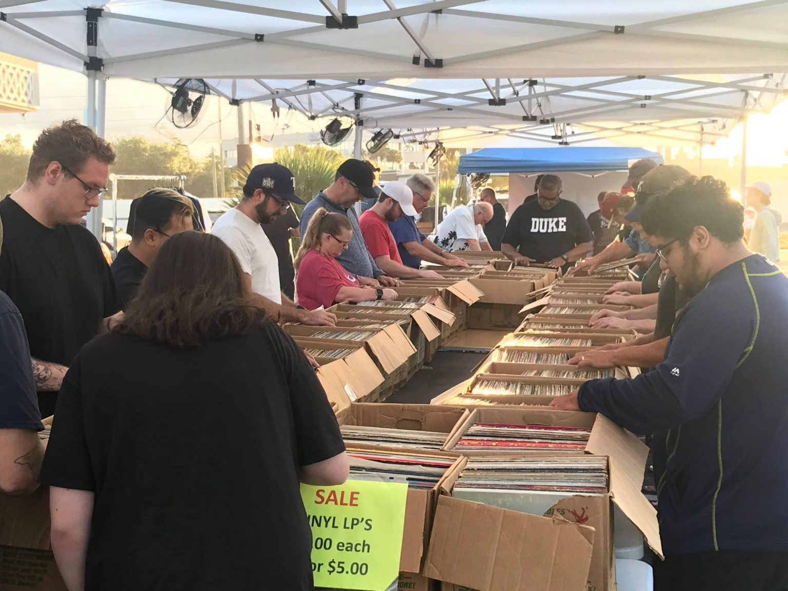 USED VINYL - Kingfish Records